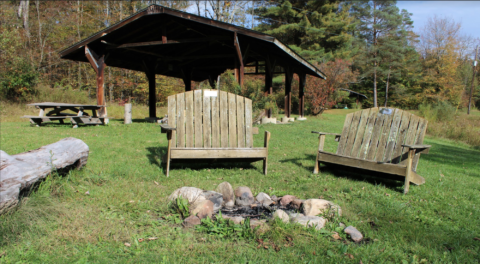 Arnot Forest - Primitive Pursuits, Ithaca