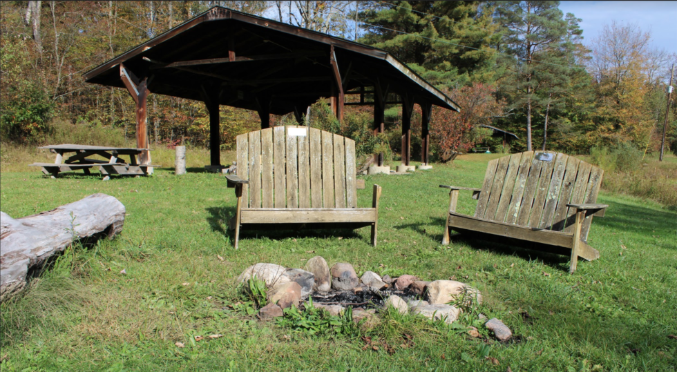 Arnot Forest - Primitive Pursuits, Ithaca