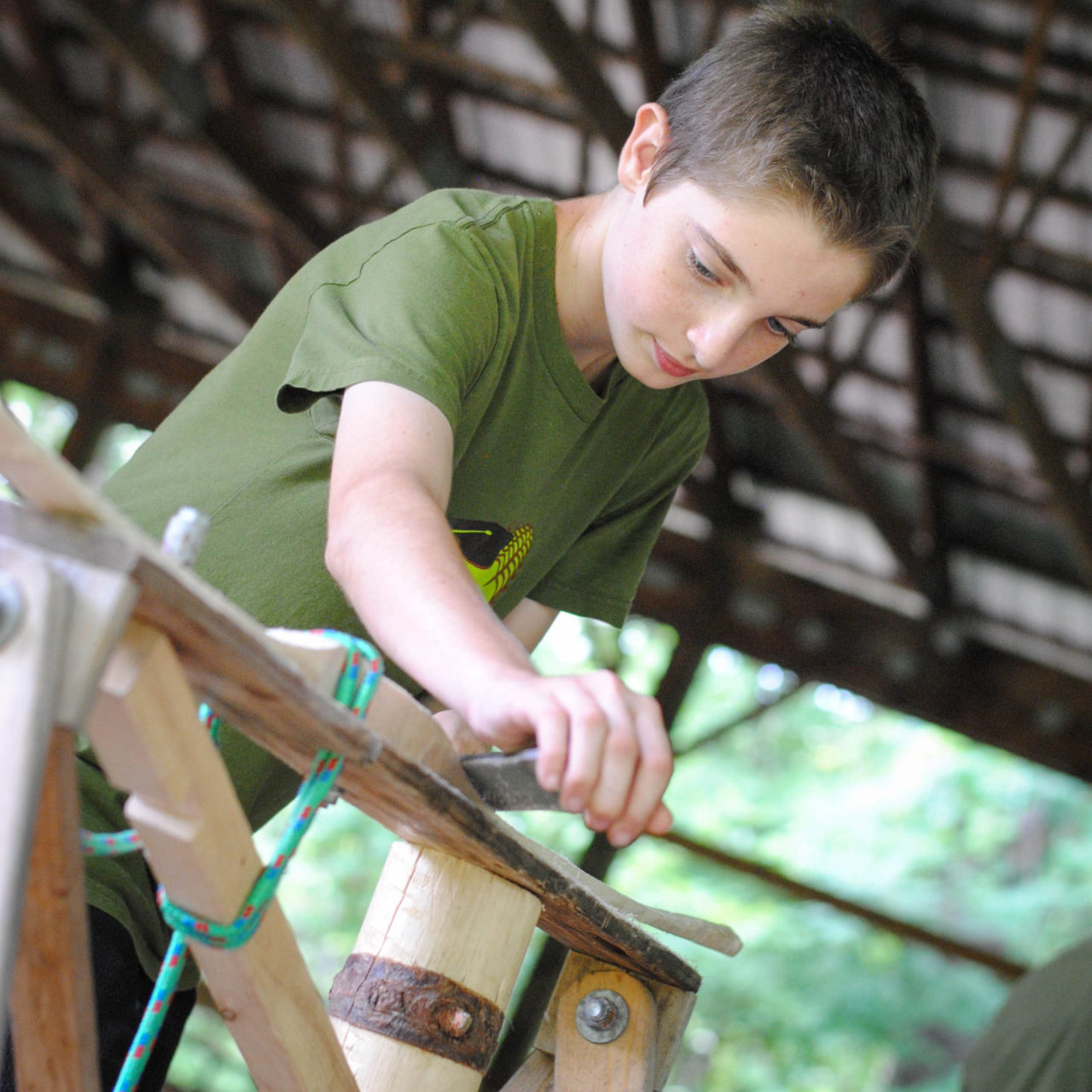 Overnight Catalog - Primitive Pursuits, Ithaca