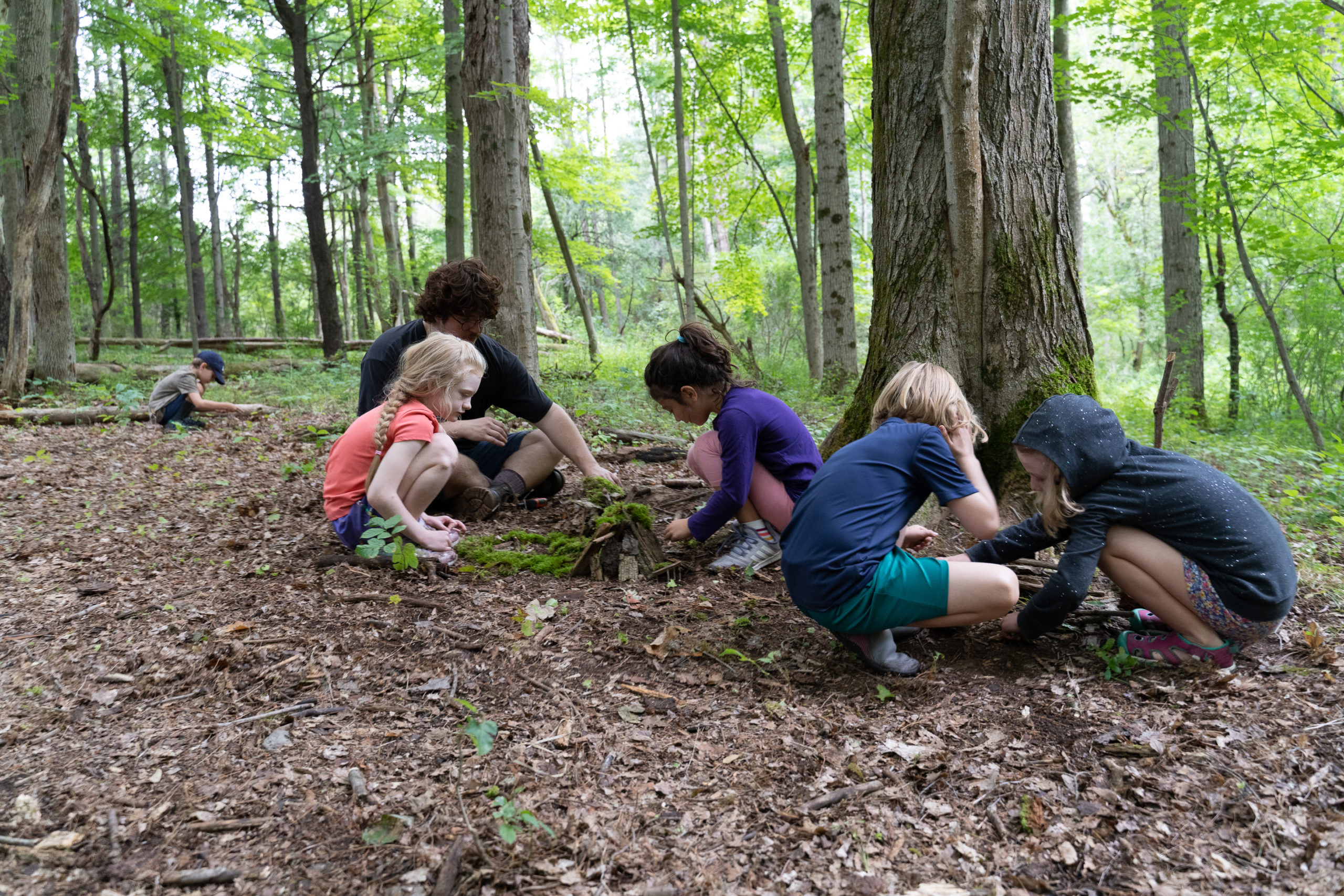 August 8-12, 2022 - Primitive Pursuits, Ithaca