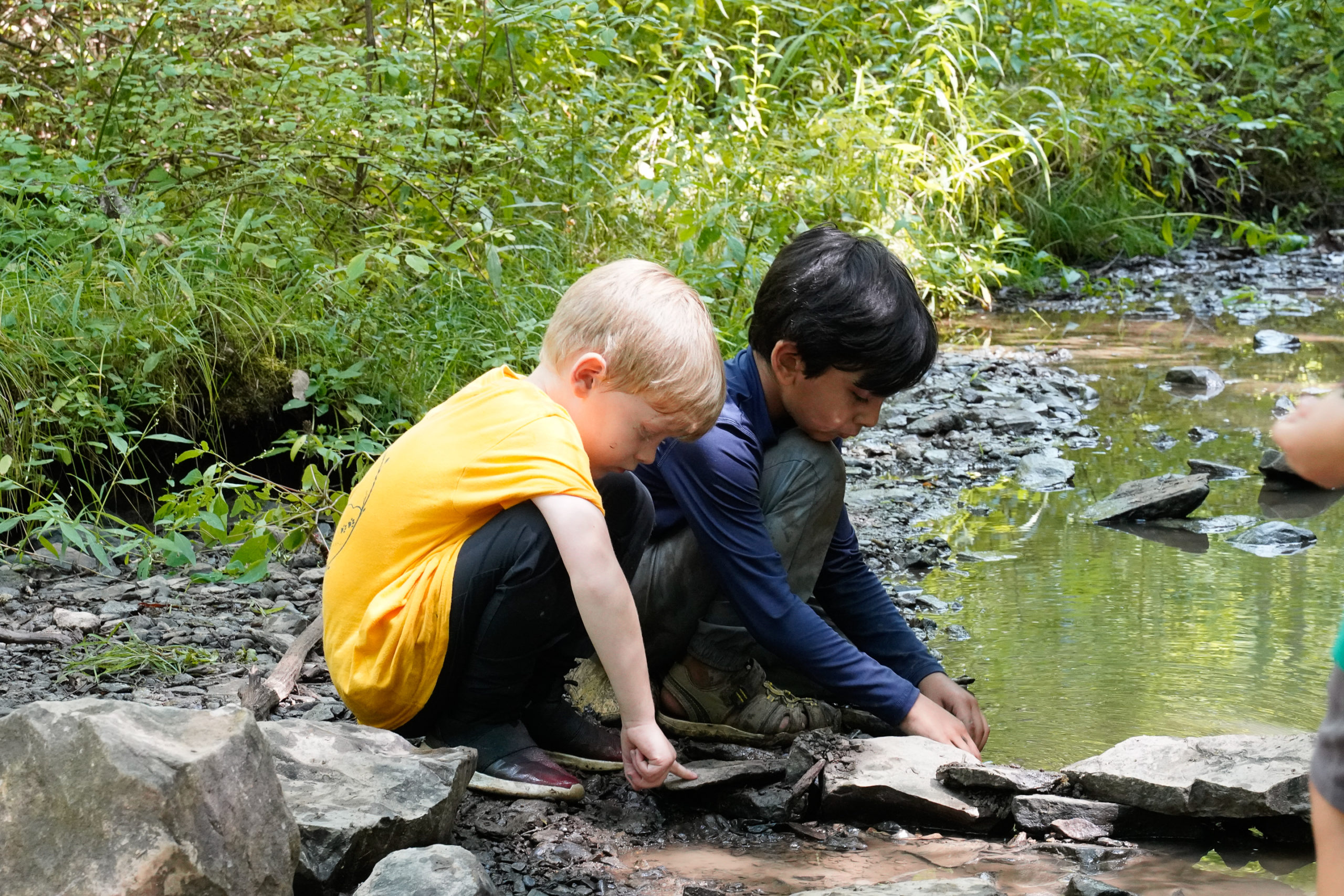 Photo Galleries - Primitive Pursuits, Ithaca